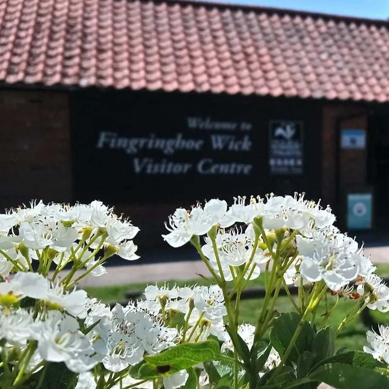 Fingringhoe Wick Nature Discovery Park | Essex Tourist Guide