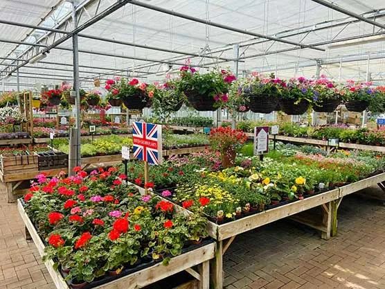 Perrywood Garden Centre | Essex Tourist Guide