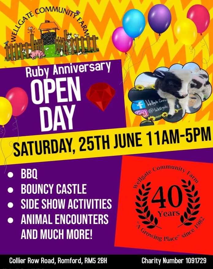 Wellgate Community Farm | Essex Tourist Guide