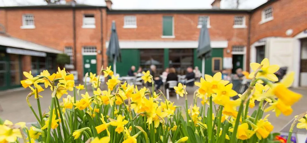 Hylands House and Estate | Essex Tourist Guide