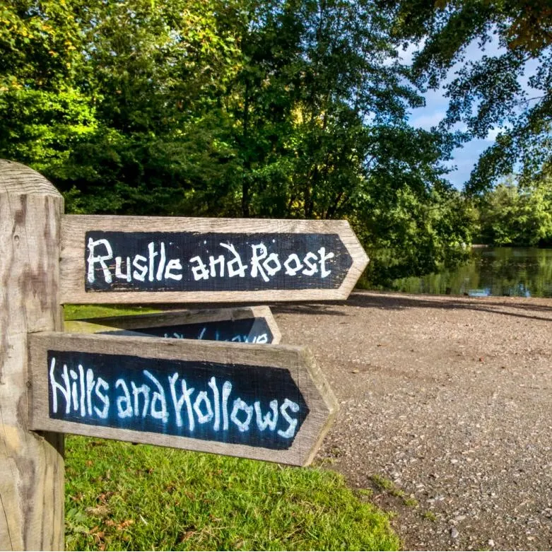 Things to Do & Places to Visit in Essex | Essex Tourist Guide