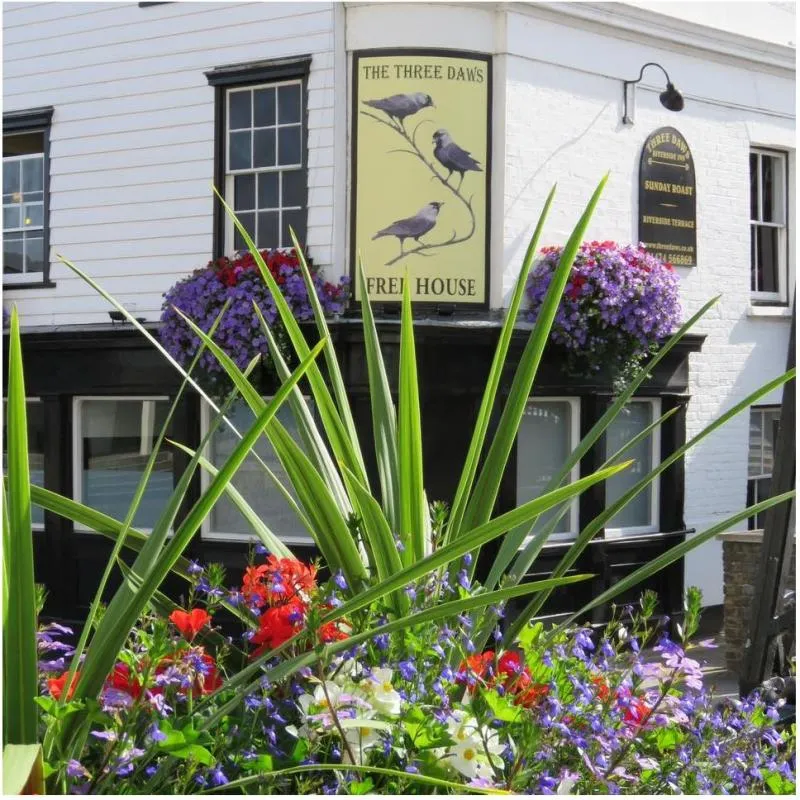 The Three Daws | Essex Tourist Guide