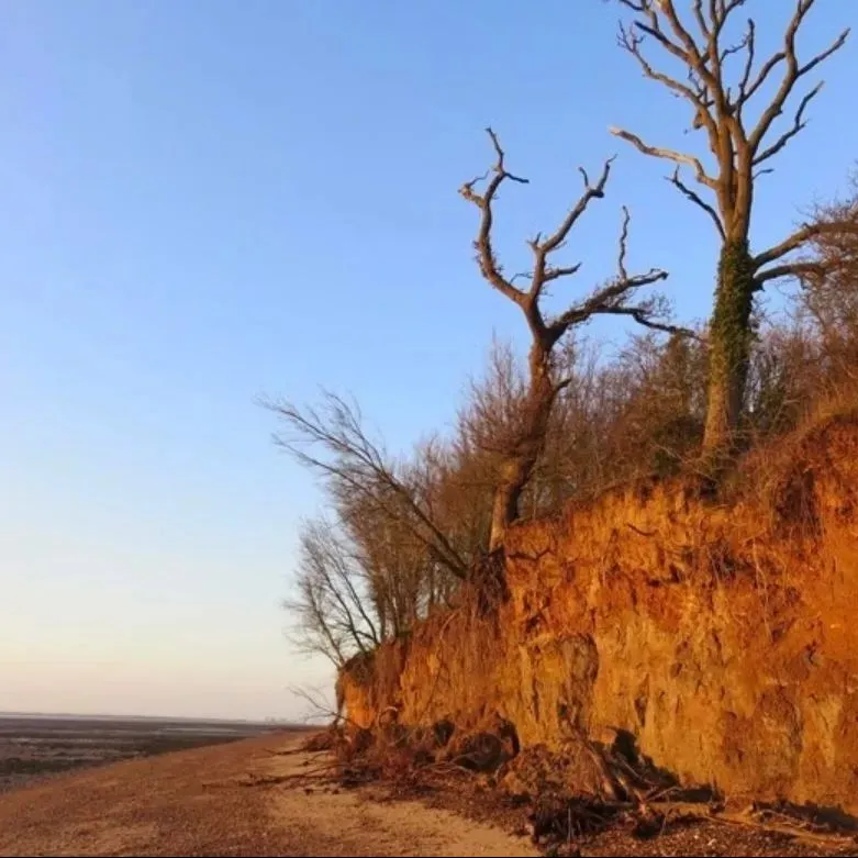 Cudmore Grove Country Park | Essex Tourist Guide