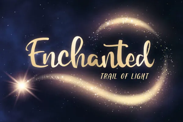 Enchanted - Trail of Light | Essex Tourist Guide