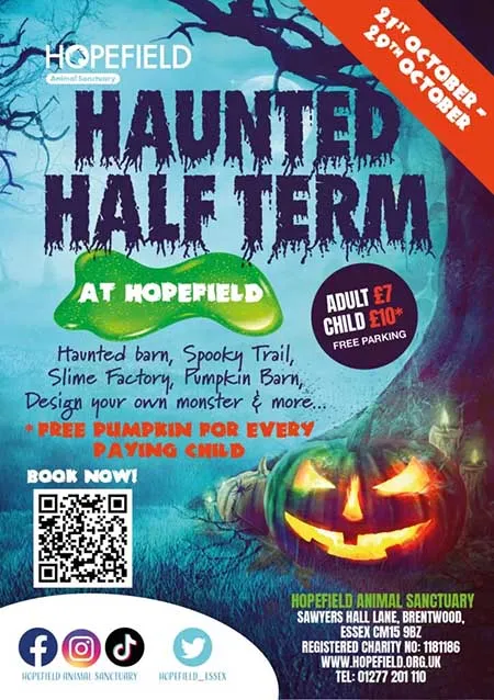 Haunted Half Term at Hopefield | Essex Tourist Guide