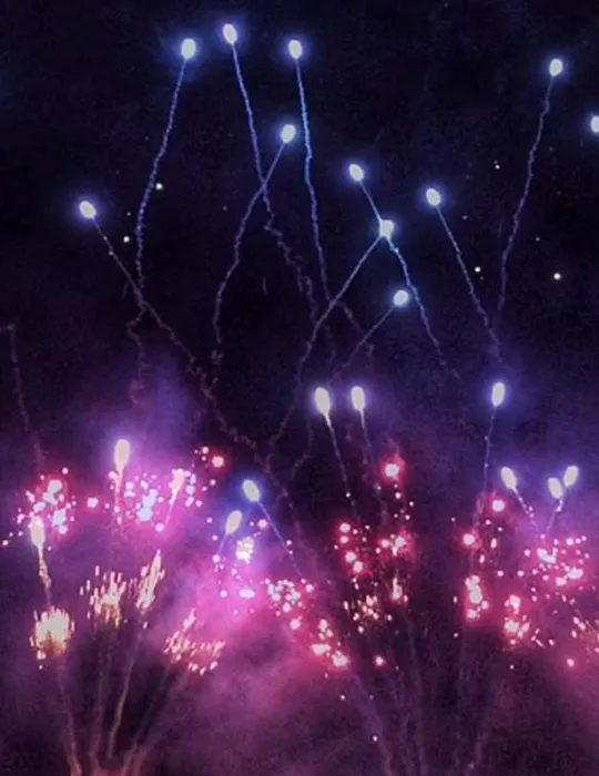 Friends Fireworks Night | Essex Tourist Guide