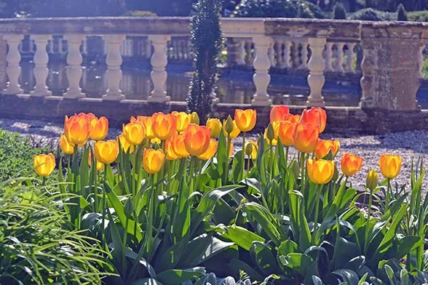 Fairs, Festivals and Shows in Essex | Essex Tourist Guide