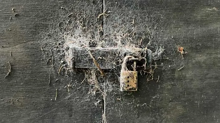 ScaresVille: The Haunted Village at Kentwell Hall | Essex Tourist Guide