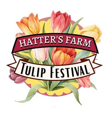 Hatter's Farm Tulip Festival | Essex Tourist Guide