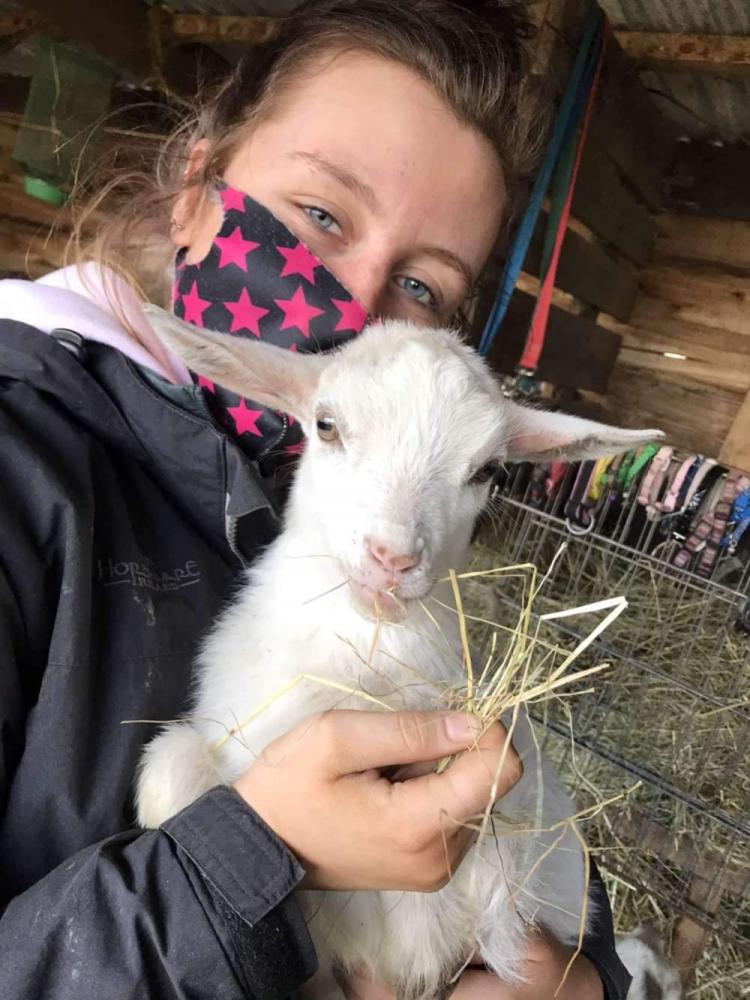 Alpaca Walking Experience including meeting the Pygmy Goats | Essex ...